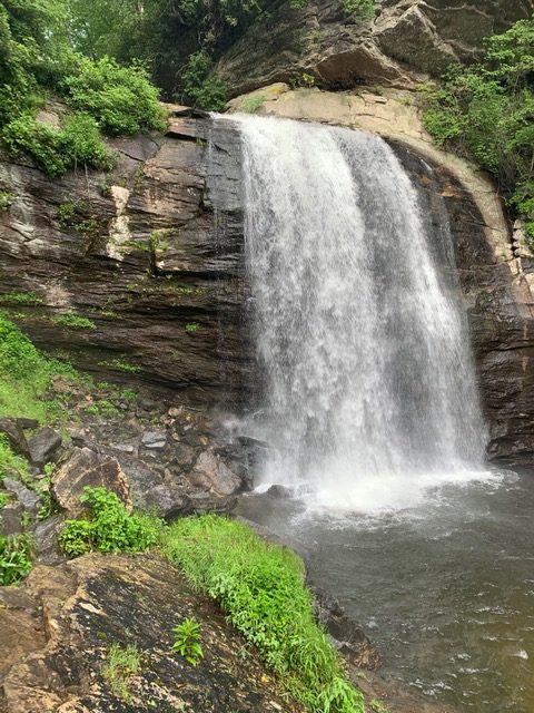 Positive Polly: A Case Study in Resiliency and Do as I Say, Not as I do ...